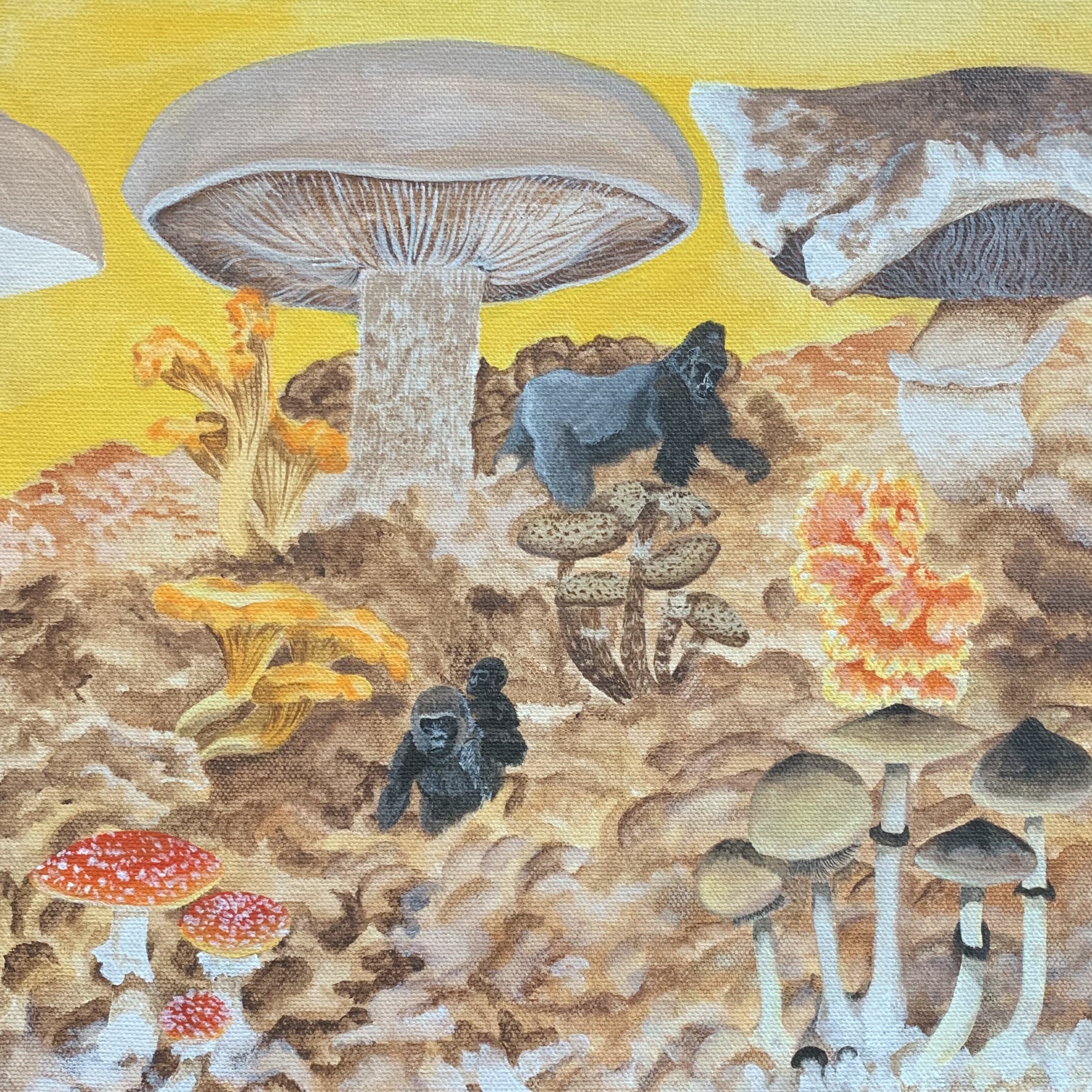 Origin Stories – Chameleon Collective